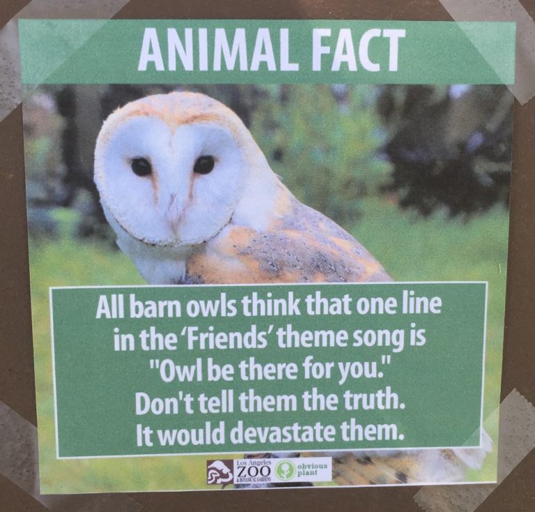 These Fake Animal Facts Were Posted at the Los Angeles Zoo