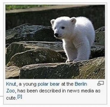 21 Hilarious Wikipedia Photo Captions