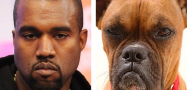 Twitter Account Matches People to Their Dog Look-Alikes
