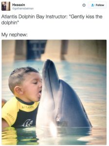 23 Completely Harmless Photos That Will Make You Laugh