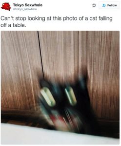 23 Completely Harmless Photos That Will Make You Laugh