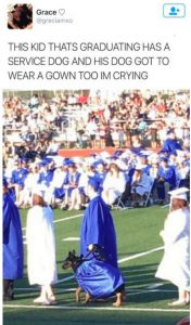 23 Completely Harmless Photos That Will Make You Laugh