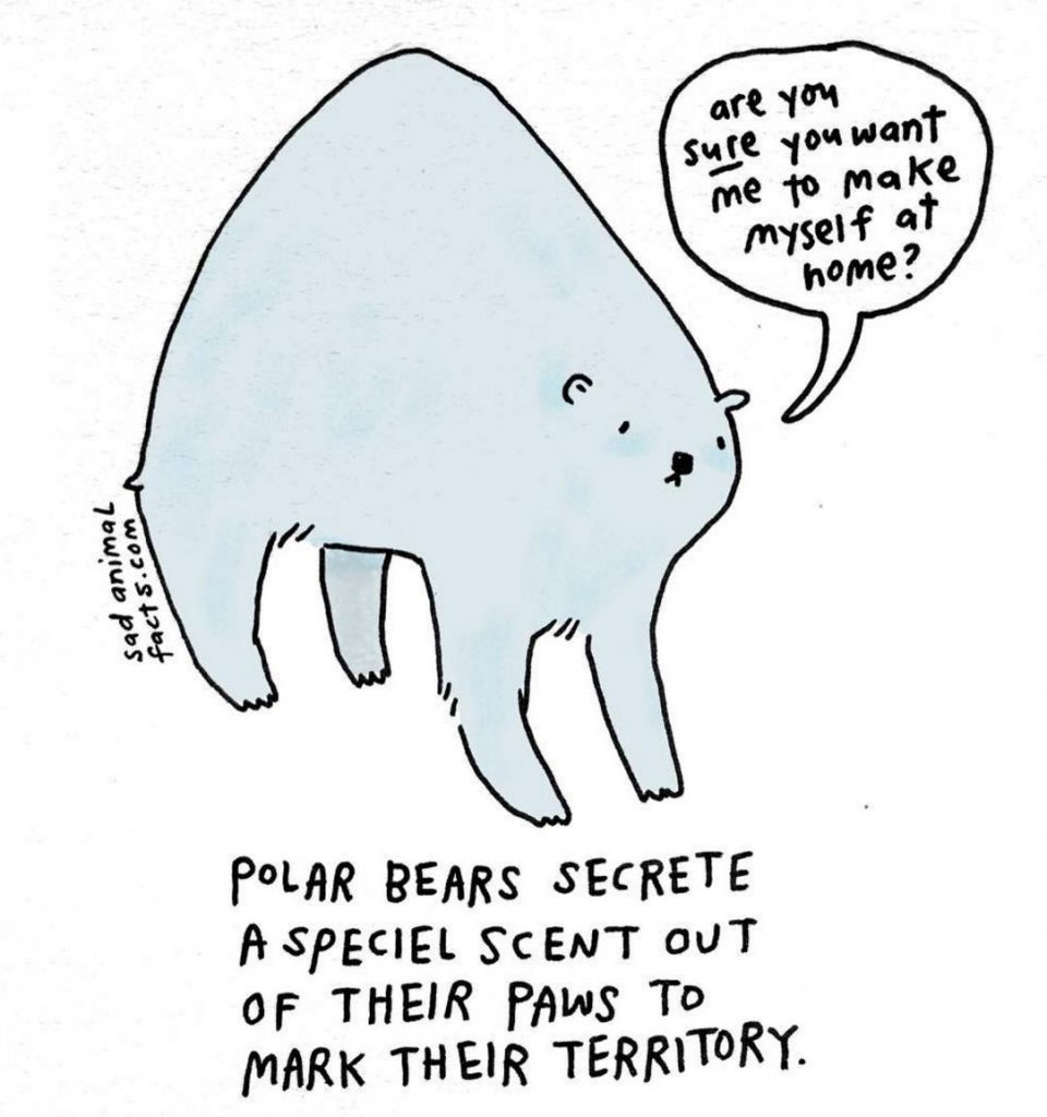 18 Illustrated Sad Animal Facts