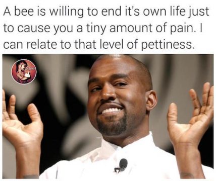 22 Pictures That Will Make You Say "That's So Petty"