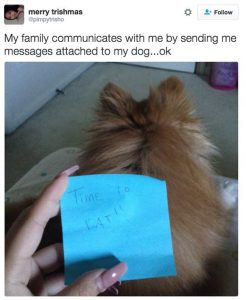 18 of The Best Family Tweets of 2016