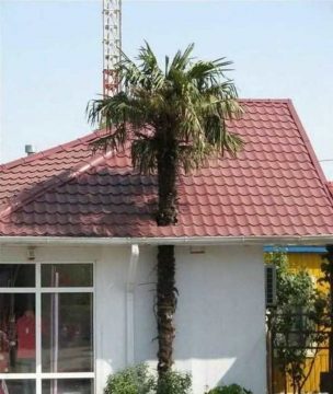 42 Cursed Images That Will Make You Laugh Nervously