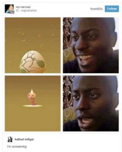 19 Hilarious Pokemon Tumblr Posts