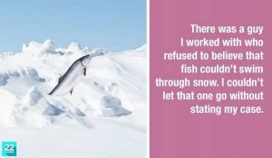 30 of The Dumbest Arguments Ever