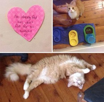 20 Funny Love Letters