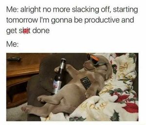 When You Really Couldn't Care Less (17 Pics)