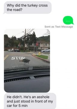 40 Funniest Text Convos Ever