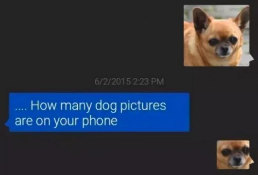 40 Funniest Text Convos Ever