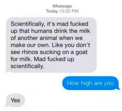 40 Funniest Text Convos Ever