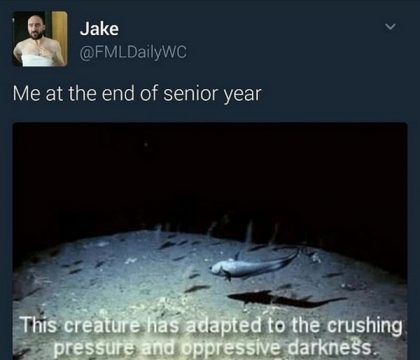 18 Memes For Anyone Who's Learned To Accept That They're Failures
