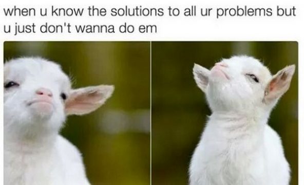 18 Memes For Anyone Who's Learned To Accept That They're Failures