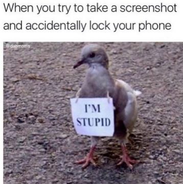 18 Memes For Anyone Who's Learned To Accept That They're Failures
