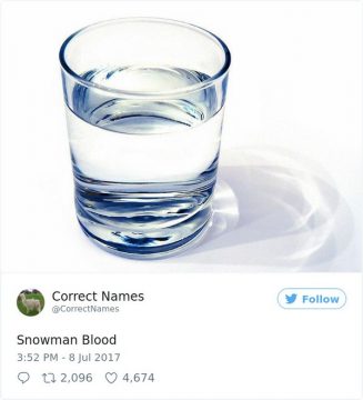 25 Better Names for Everyday Objects
