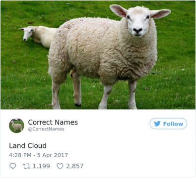 25 Better Names for Everyday Objects