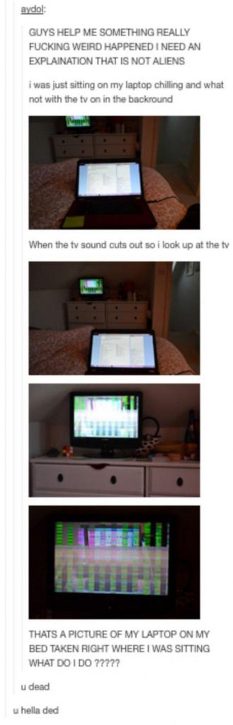 21 Hilarious Tumblr Comments We'll Use As A Way To Introduce Our New ...