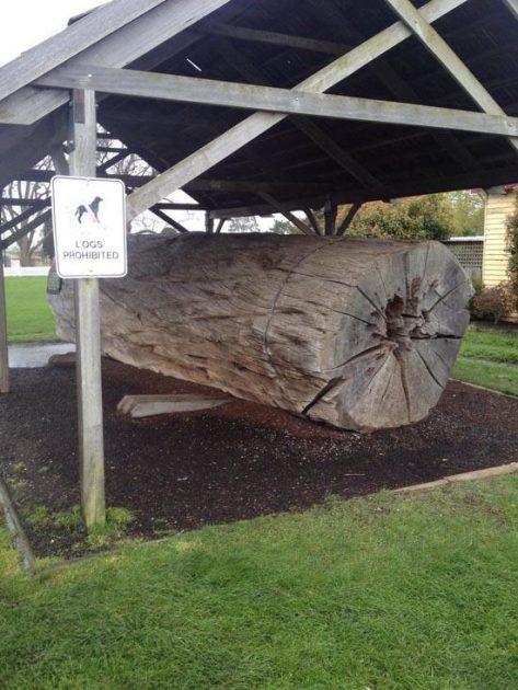 21 Examples Of Vandalism I'm Not Mad At