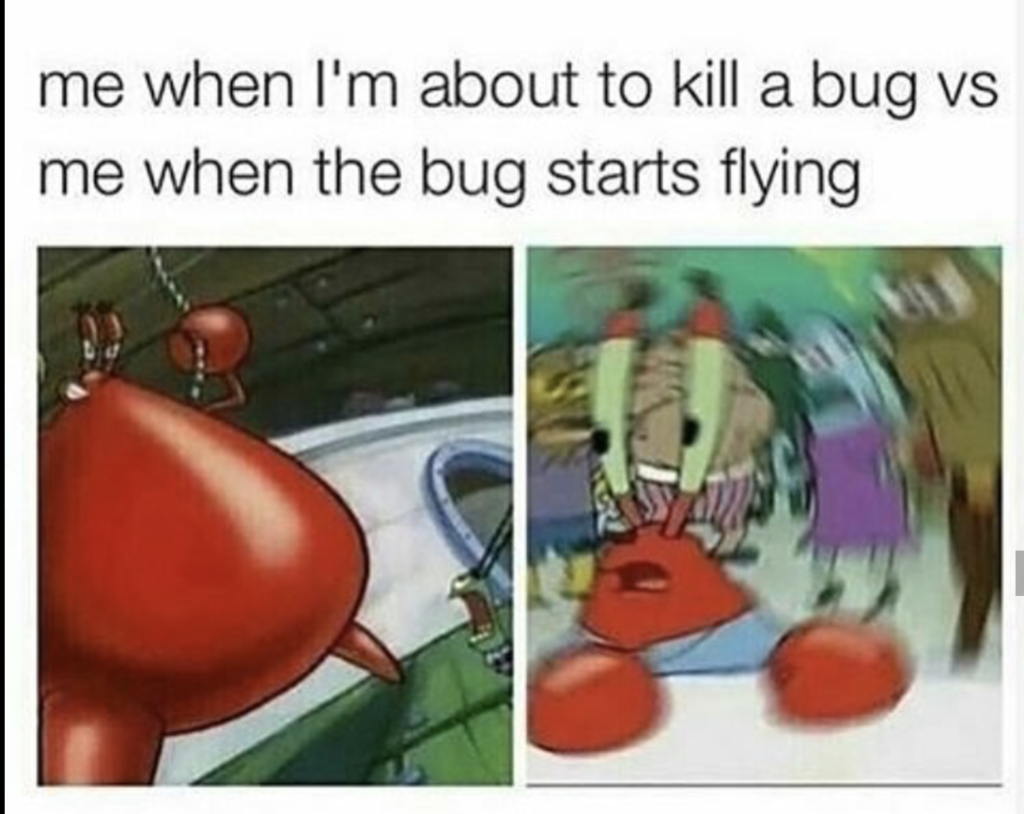 34 Utterly Random Memes Everyone Should Read This Morning
