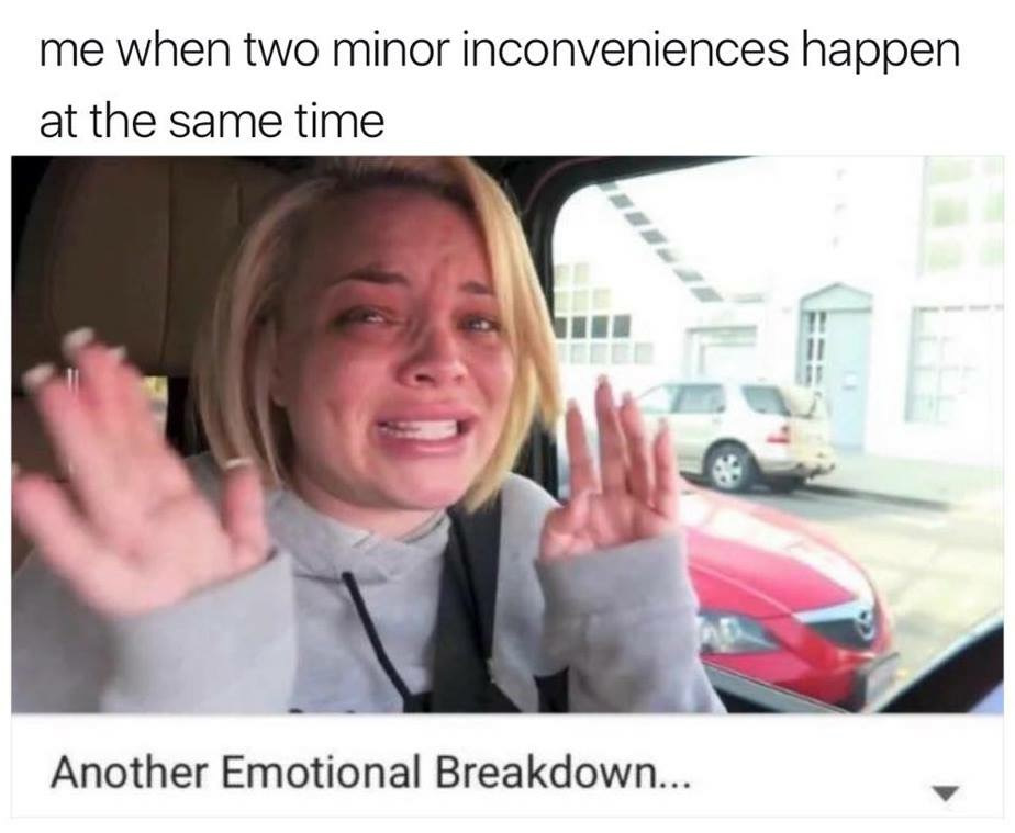 32 Utterly Random Memes Everyone Should Read This Morning