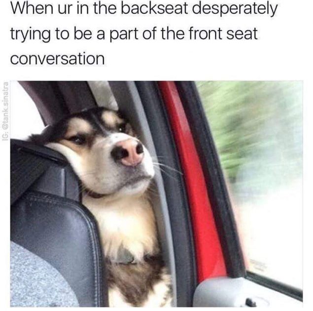 32 Utterly Random Memes Everyone Should Read This Morning