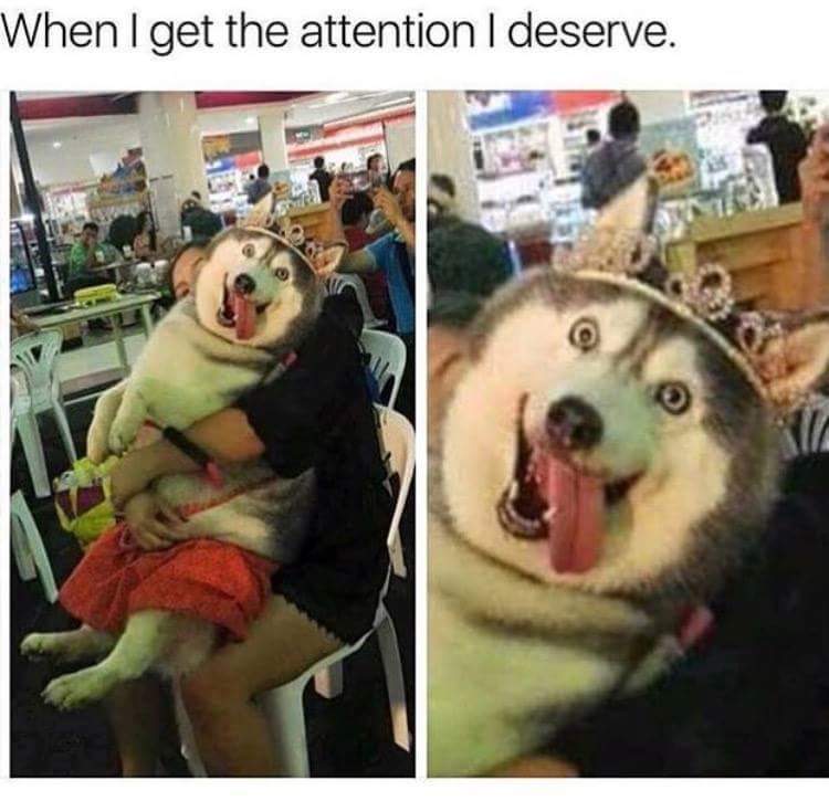 32 Utterly Random Memes Everyone Should Read This Morning