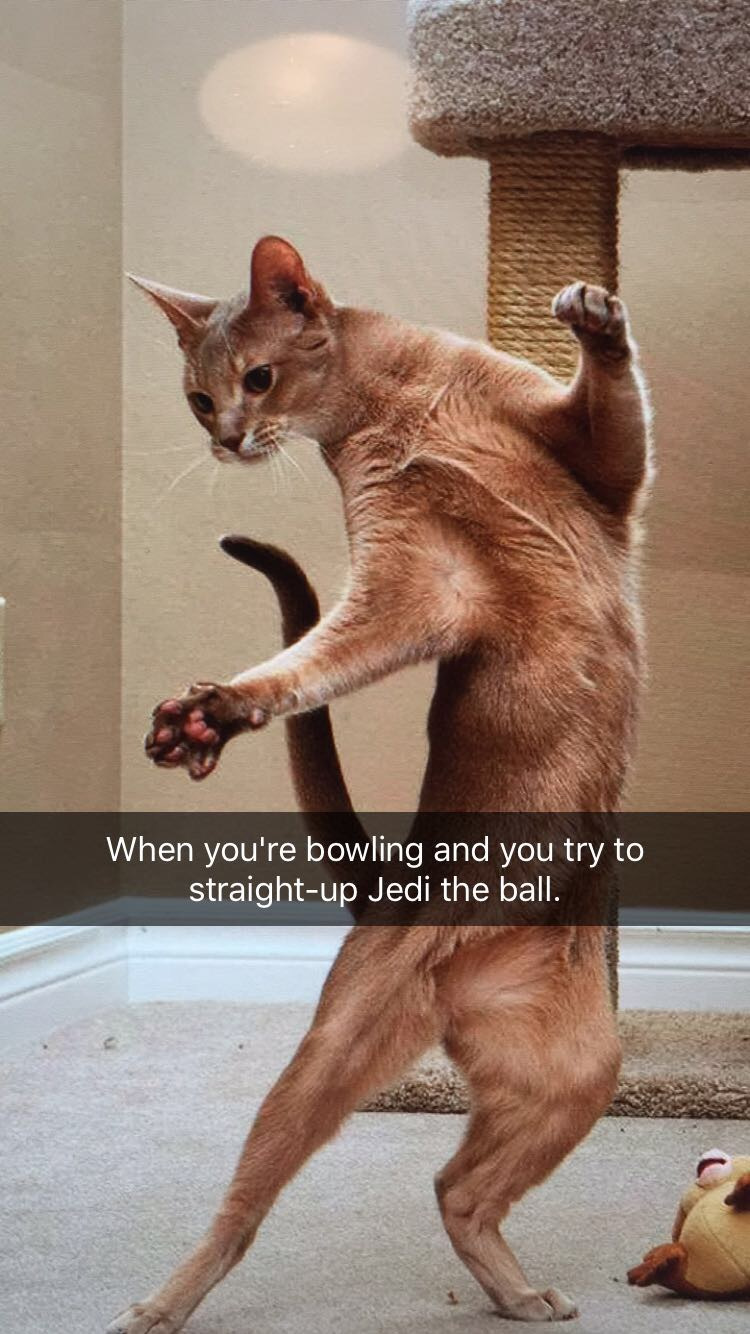 36 Utterly Random Memes Everyone Should Laugh At This Morning