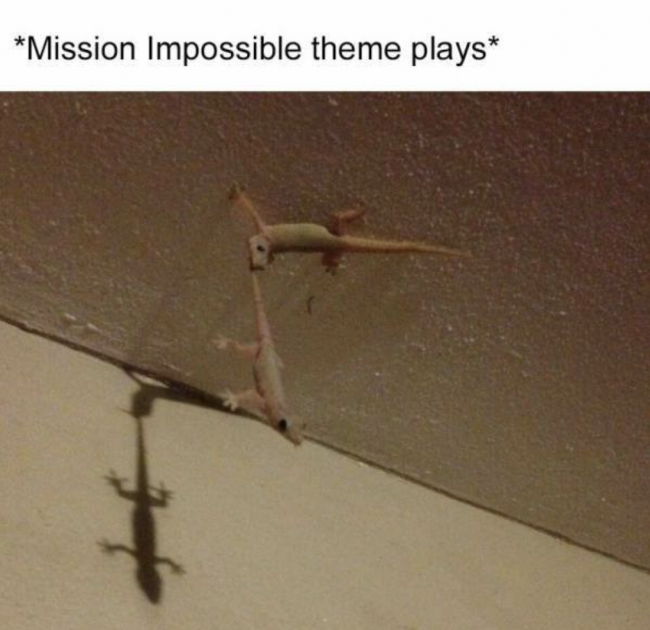 36 Utterly Random Memes Everyone Should Laugh At This Morning