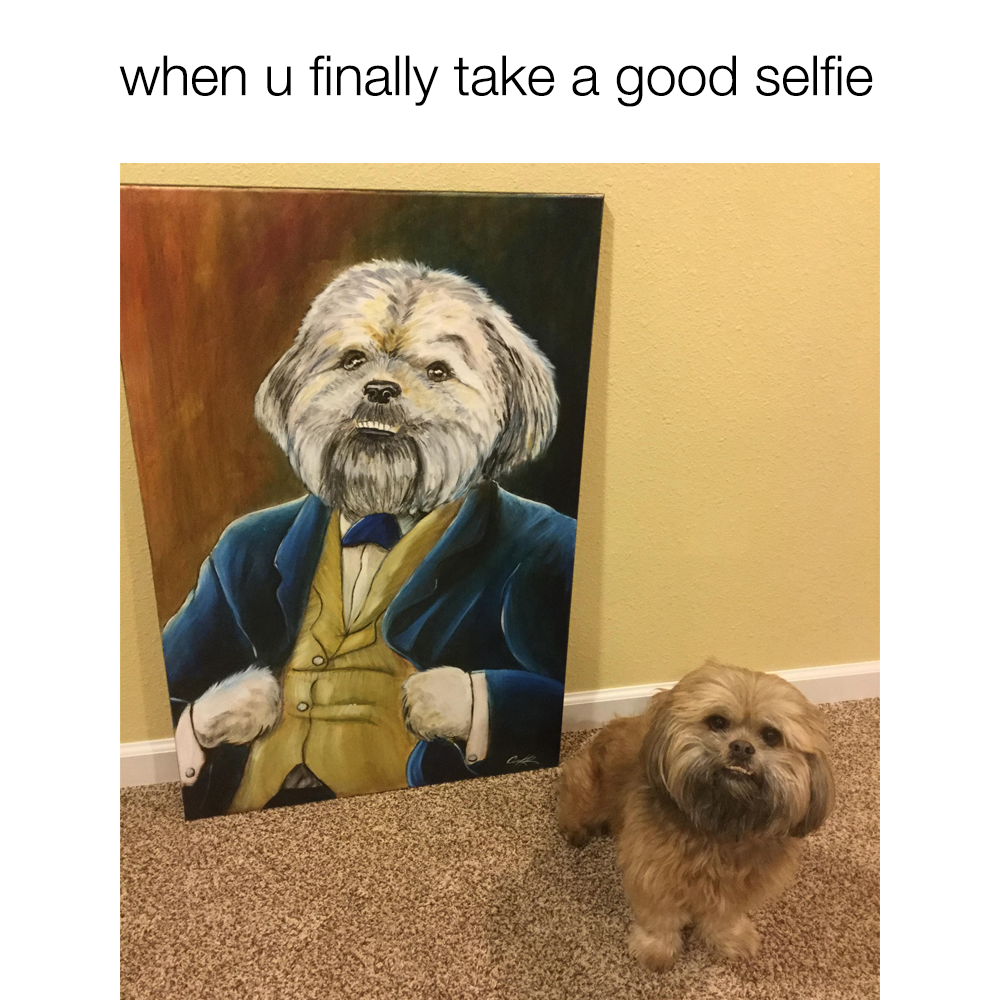 36 Utterly Random Memes Everyone Should Laugh At This Morning