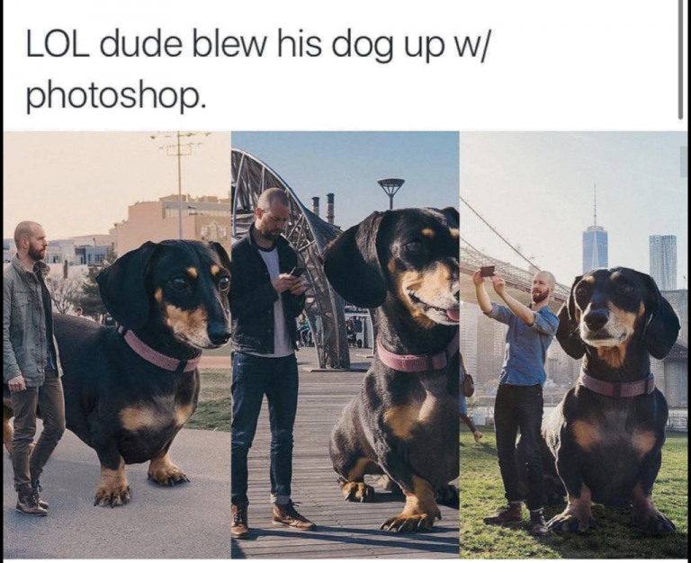 36 Utterly Random Memes Everyone Should Laugh At This Morning