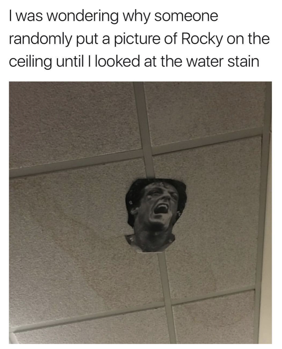 27 Utterly Random Memes Everyone Should Laugh At This Morning