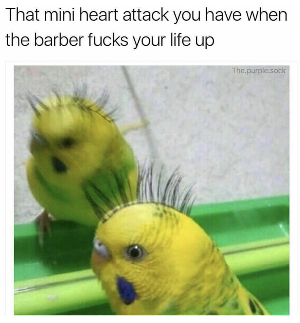 27 Utterly Random Memes Everyone Should Laugh At This Morning