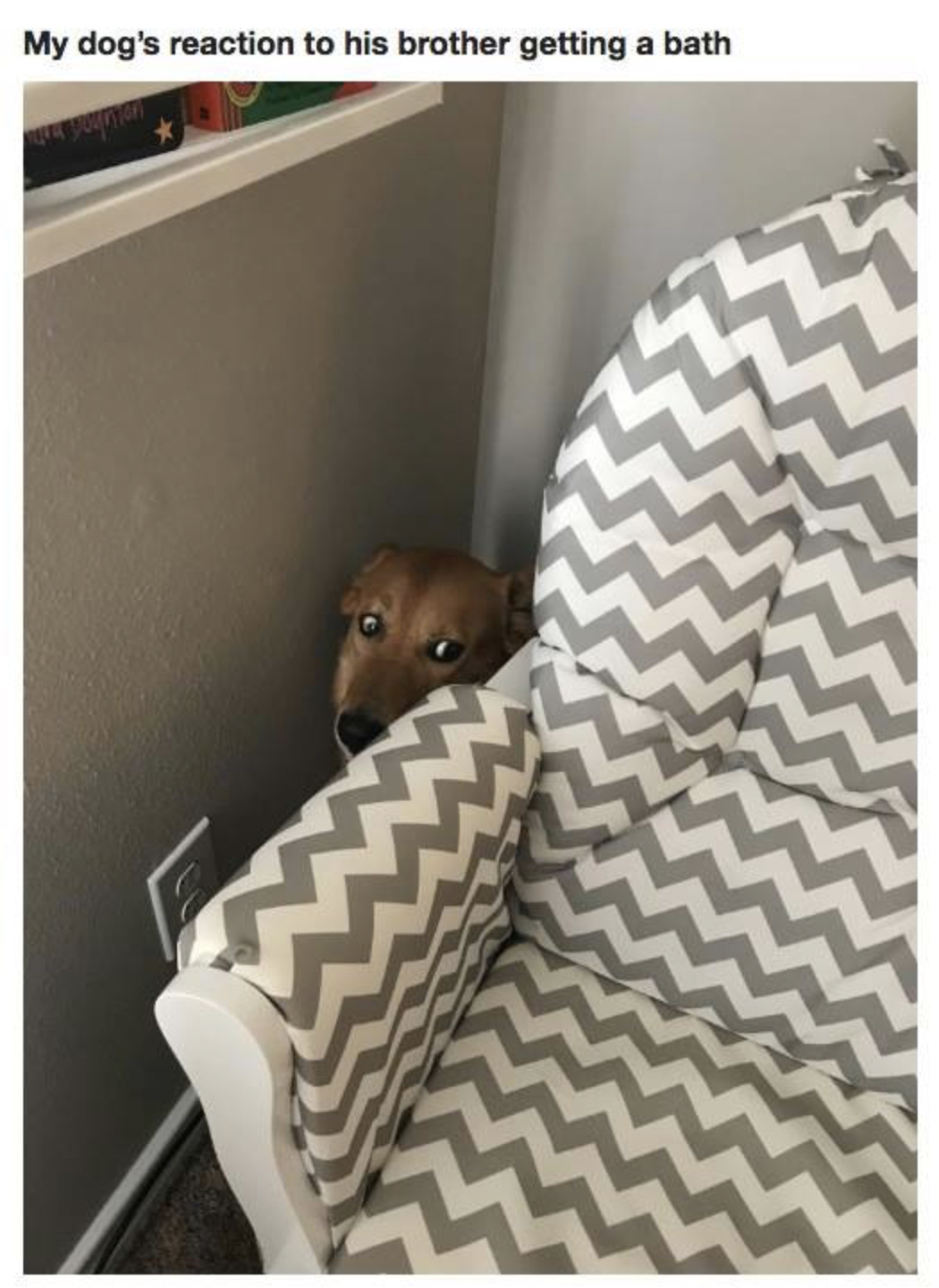 25 Utterly Random Memes Everyone Should Laugh At This Morning