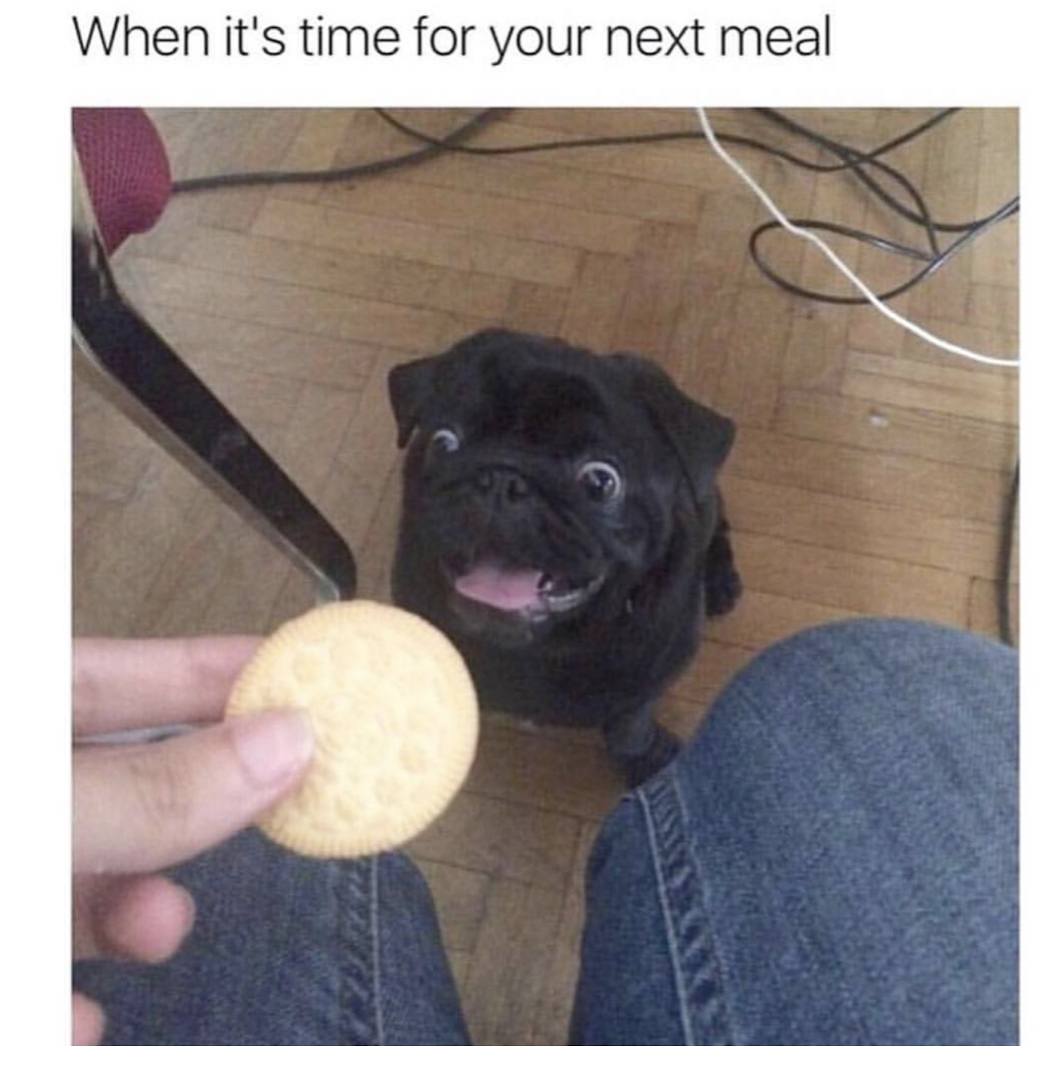 25 Utterly Random Memes Everyone Should Laugh At This Morning