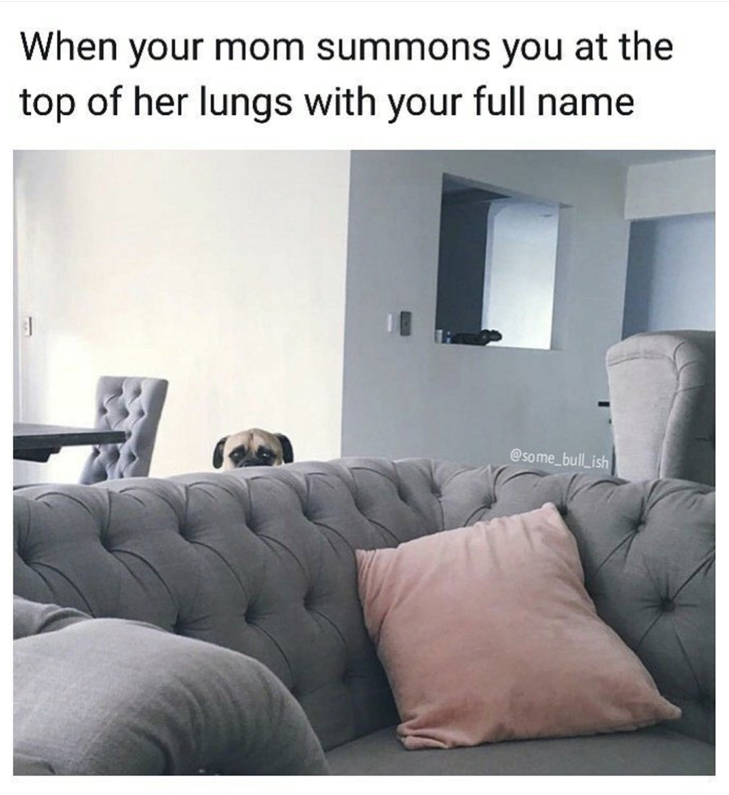 25 Utterly Random Memes Everyone Should Laugh At This Morning