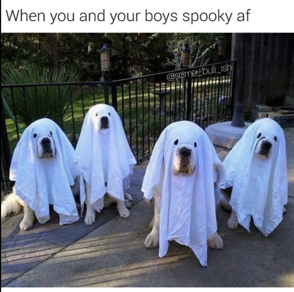 25 Utterly Random Memes Everyone Should Laugh At This Morning