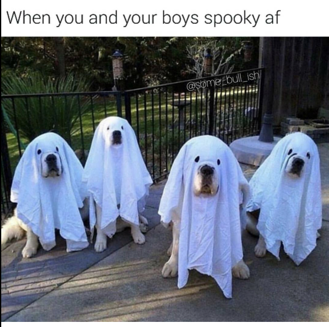 25 Utterly Random Memes Everyone Should Laugh At This Morning