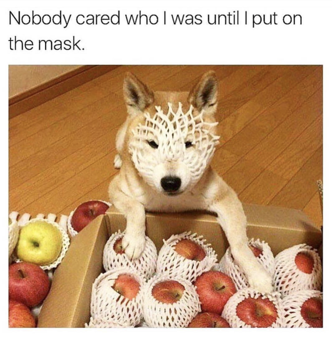 25 Utterly Random Memes Everyone Should Laugh At This Morning