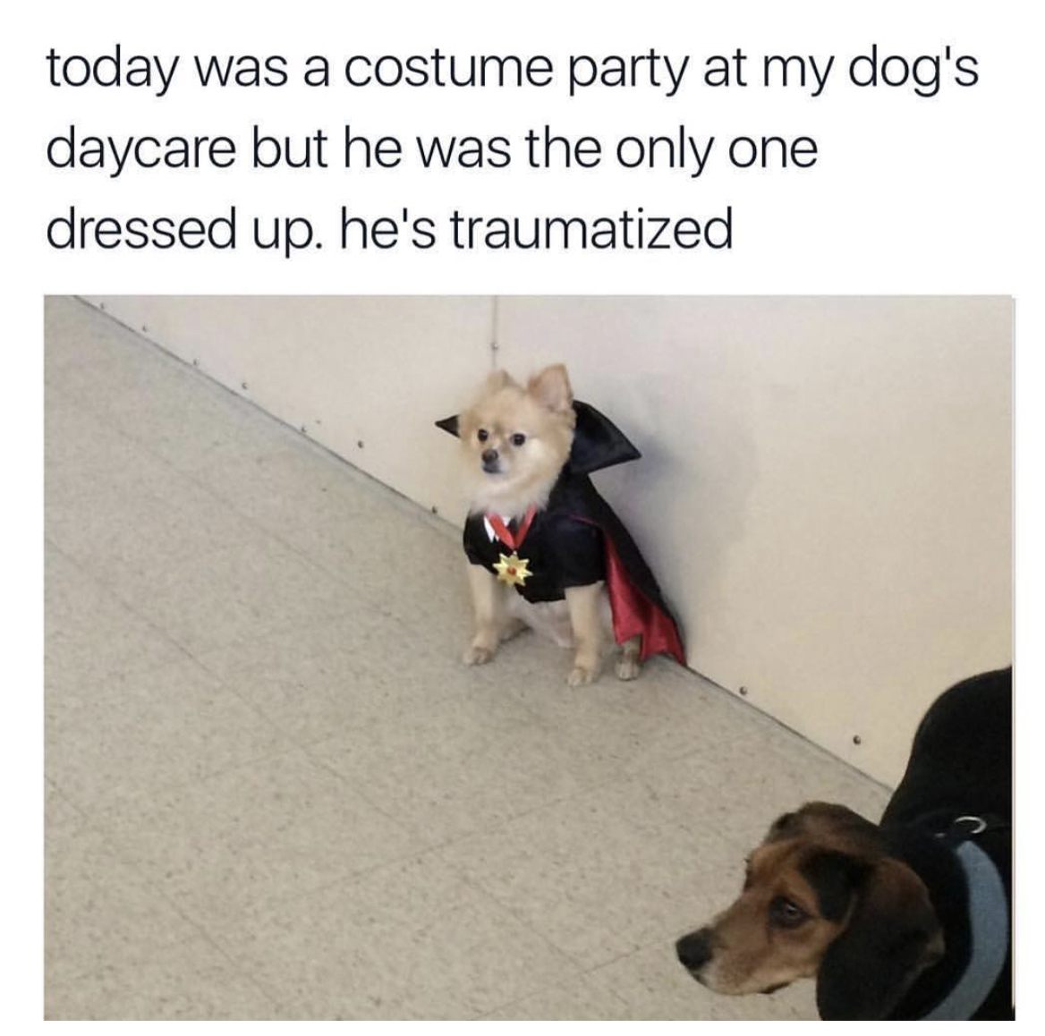 25 Utterly Random Memes Everyone Should Laugh At This Morning