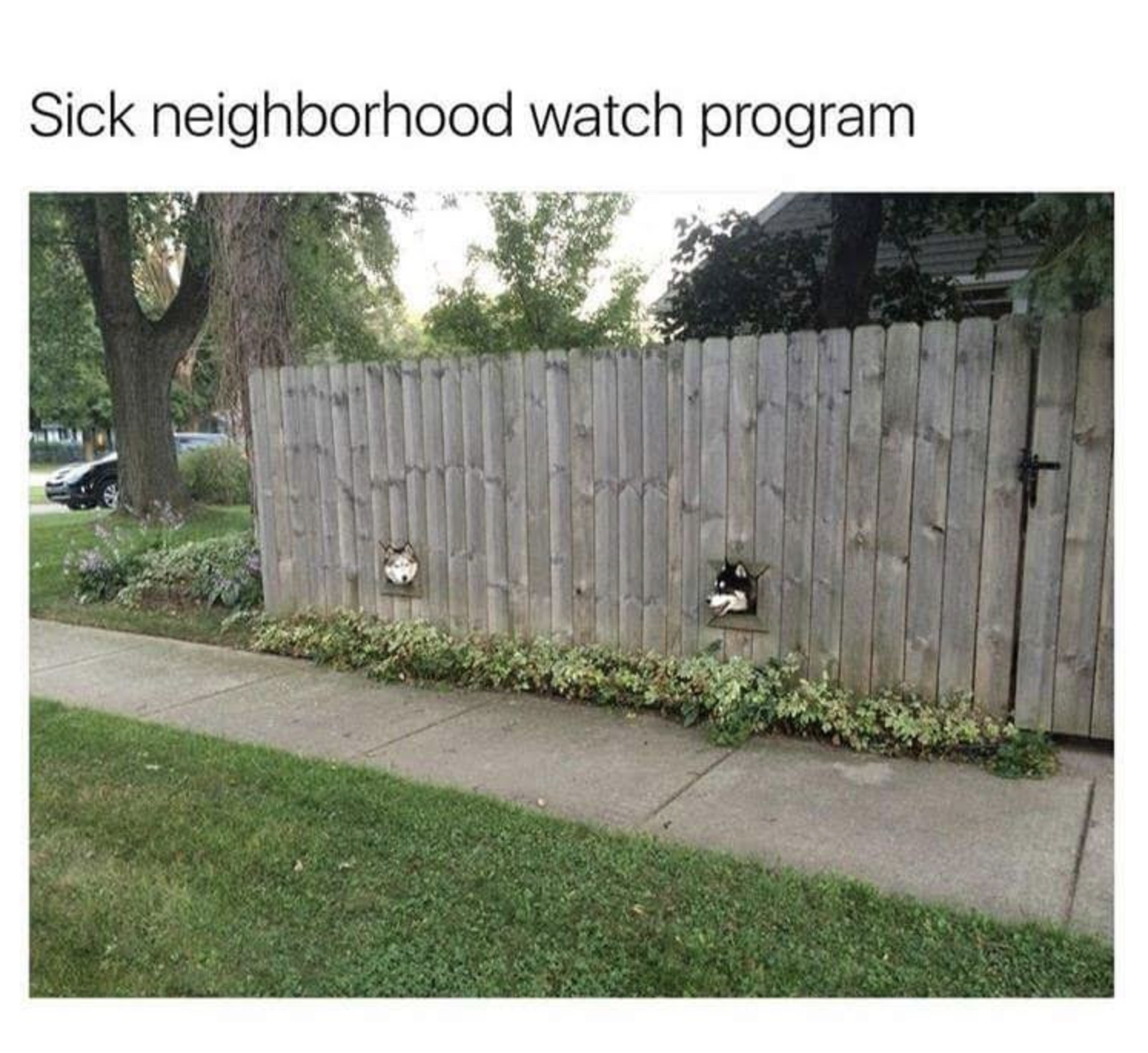 25 Utterly Random Memes Everyone Should Laugh At This Morning