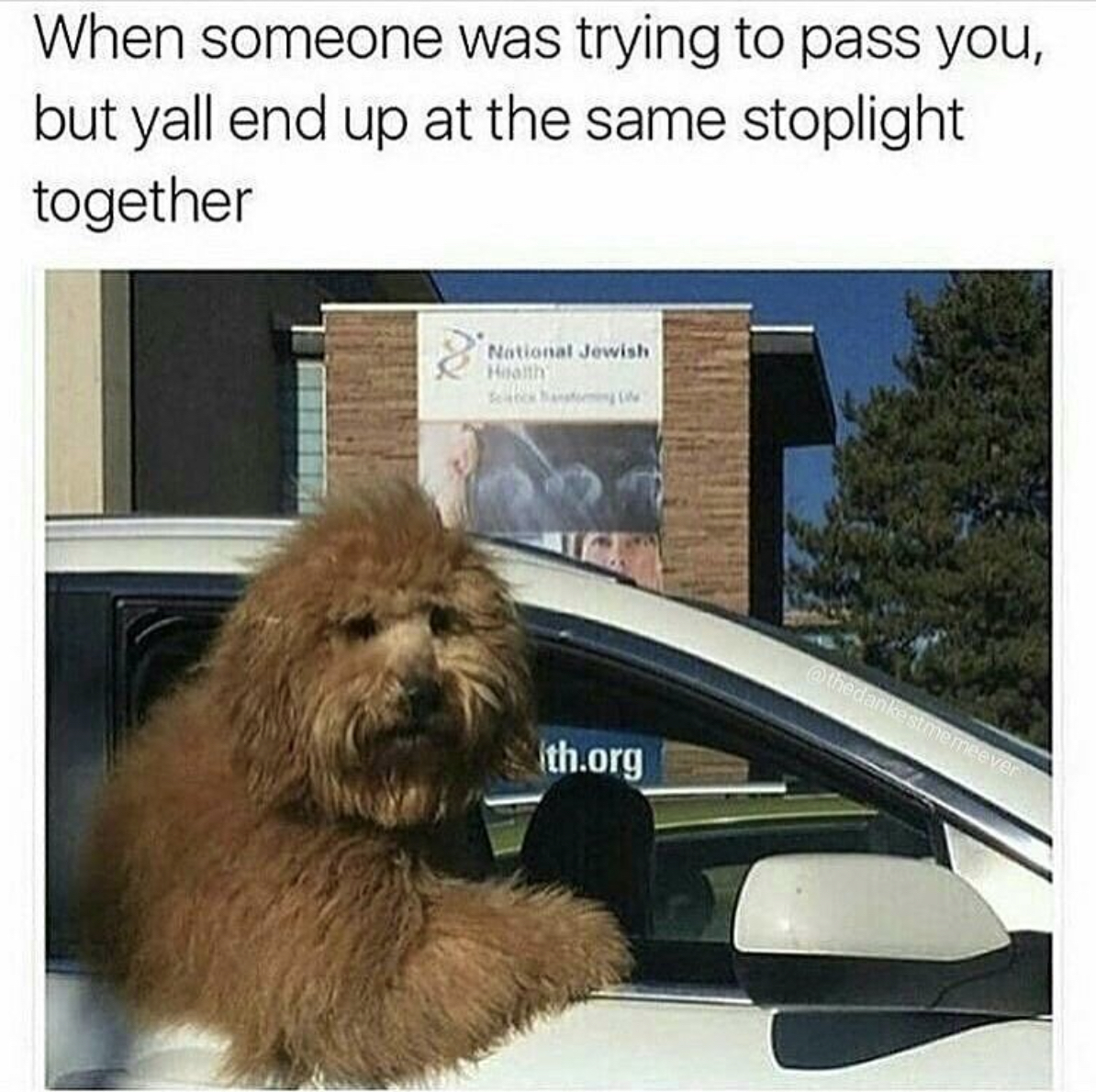 25 Utterly Random Memes Everyone Should Laugh At This Morning