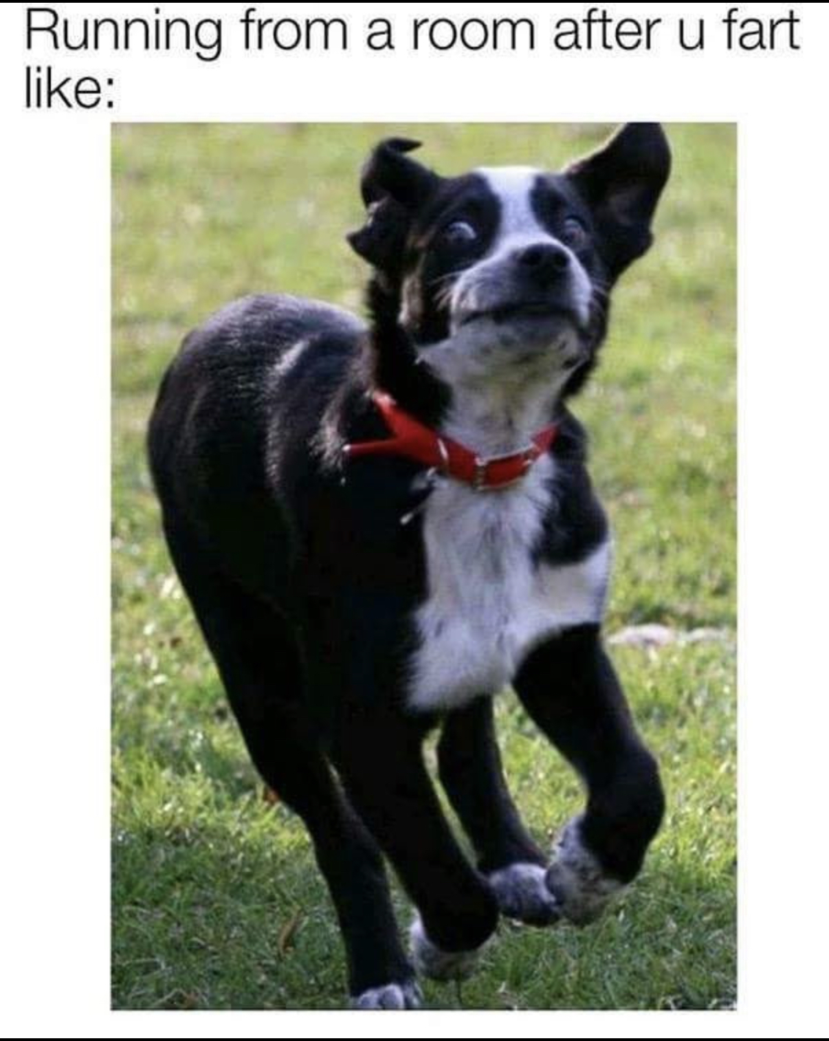 25 Utterly Random Memes Everyone Should Laugh At This Morning