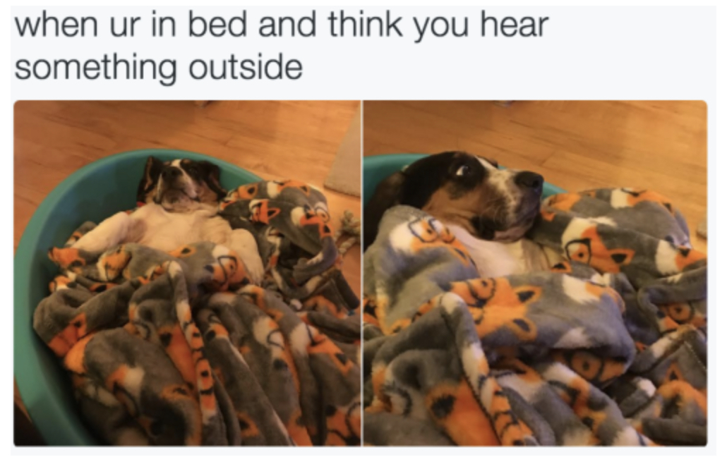 25 Utterly Random Memes Everyone Should Laugh At This Morning