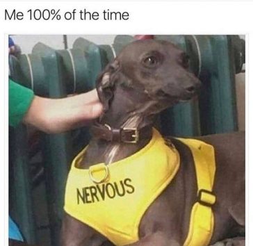 All Good Dog Memes Are Like Going To Heaven (18 Pics)