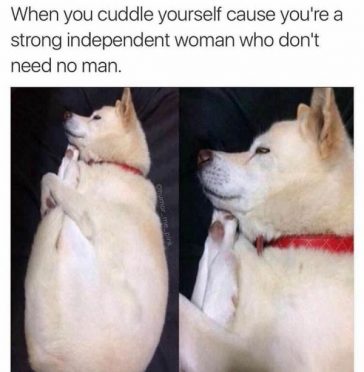 All Good Dog Memes Are Like Going To Heaven (18 Pics)