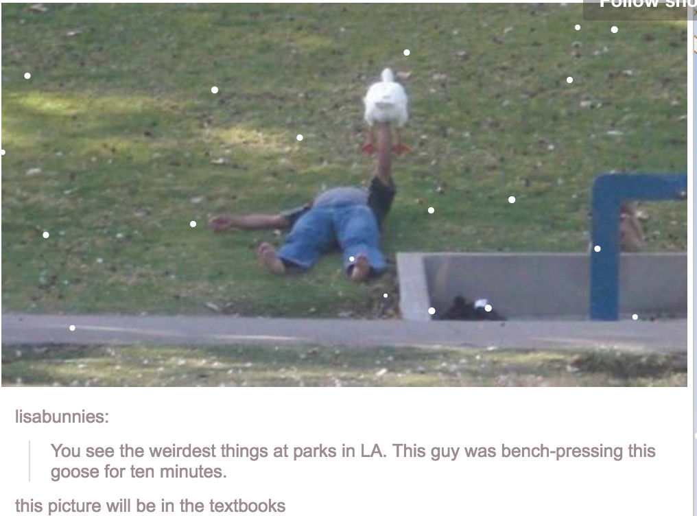 60+ Tumblr Posts That Are All Funny, No Filler