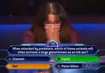 21 Best Bad Answers To Game Show Questions That Prove Winning Isn't ...