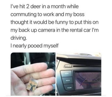 27 Work Memes To Laugh At After You Call In Sick To Work